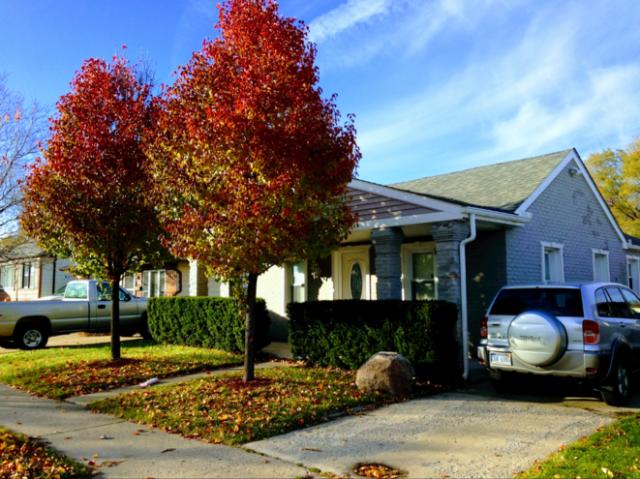 3 BR, 1 BA Apartment 891 E Guthrie Ave, Madison Heights, MI 48071