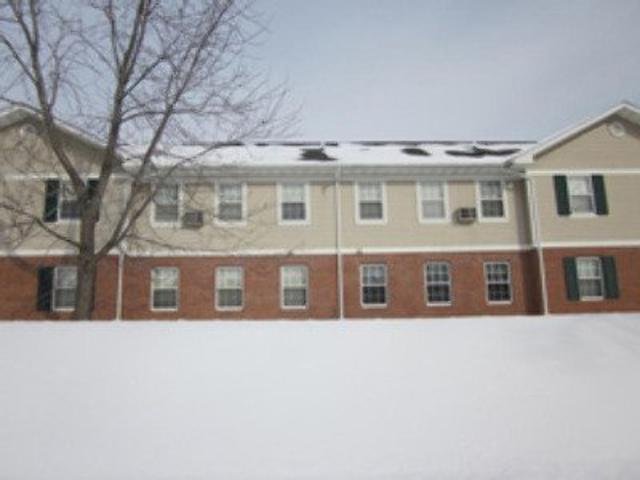 3 BR, 1 BA Apartment 831 Young Street, Galena, IL 61036