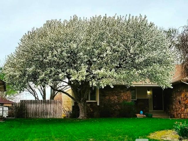 3 BR, 2.5 BA Apartment 3811 North Somerset Street, Wichita, KS 67204
