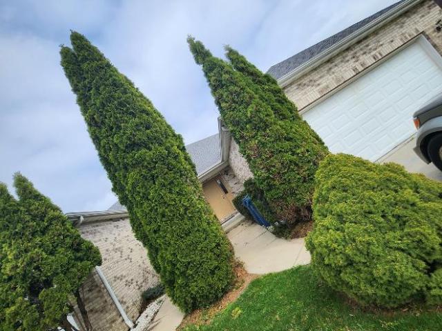 3 Br, 2 bath, Townhouse/Brownstone/RowHouse 10859 Park St