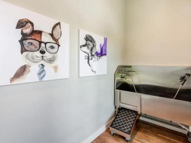 3 Br, 2 bath, Apartment 4001 Reedybrook Xing
