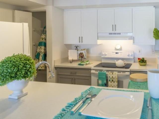 3 Br, 2 bath, Apartment 500 North Congress Avenue