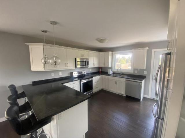 3 Br, 2 bath, Condo 166 Cougar Cres