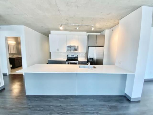 3 Br, 2 bath, Condo 200 N Wells