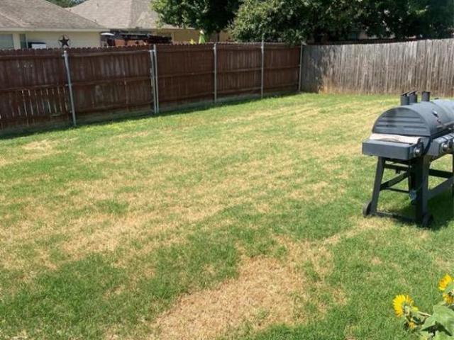 3 Br, 2 bath, Single Family 1324 Sierra Blanca Dr
