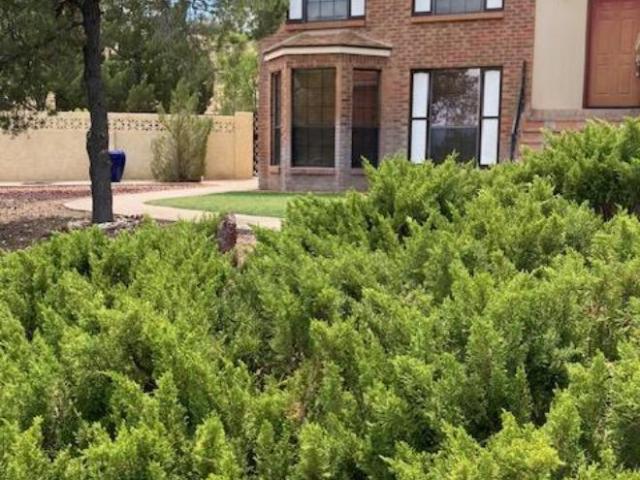 3 Br, 2 bath, Single Family 5142 La Subida St NW