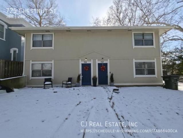 3 Br, 2 bath, Single Family 725 Chestnut St