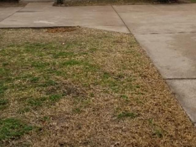3 Br, 2 bath, Single Family 906 Austin St