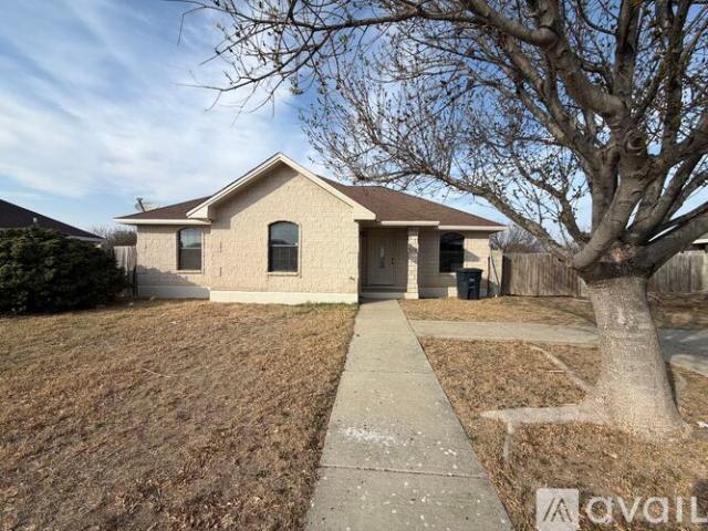 3 BR, 2 BA Apartment Trey Dr, Eagle Pass, TX 78852