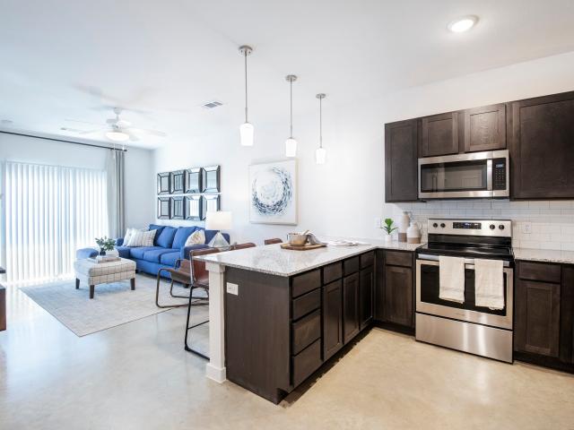 3 BR, 2 BA Apartment 1040 Flathead Dr Unit 8202, Dripping Springs, TX 78620