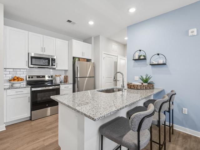 3 BR, 2 BA Apartment 1121 Chronicle Drive Unit 1 312, Durham, NC 27703