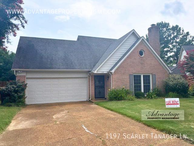 3 BR, 2 BA Apartment 1197 Scarlet Tanager Ln Collierville, TN 38017