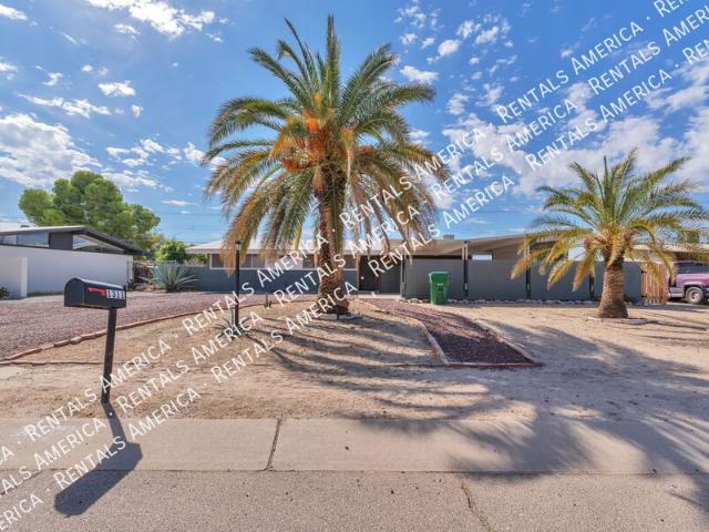 3 BR, 2 BA Apartment 1311 W Wheatridge Dr, Tucson, AZ 85704