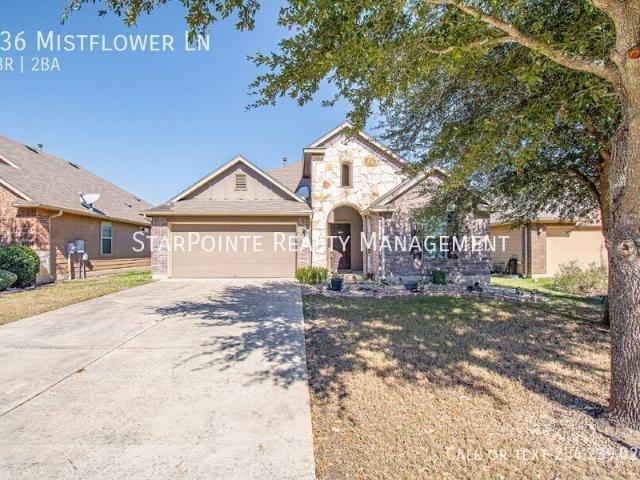 3 BR, 2 BA Apartment 136 Mistflower Lane, Kyle, TX 78640