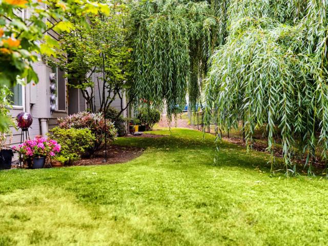3 BR, 2 BA Apartment 2667 Northeast 205th Avenue Unit B222, Fairview, OR 97024