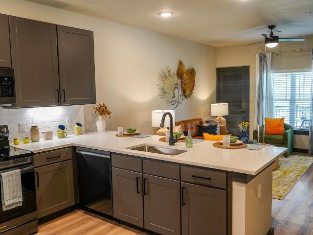 3 BR, 2 BA Apartment 2953 Farm to Market 2920 Unit 13201, Spring, TX 77388