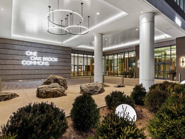 3 BR, 2 BA Apartment 2150 Mc Donald Dr Unit 1220, Oak Brook, IL 60523