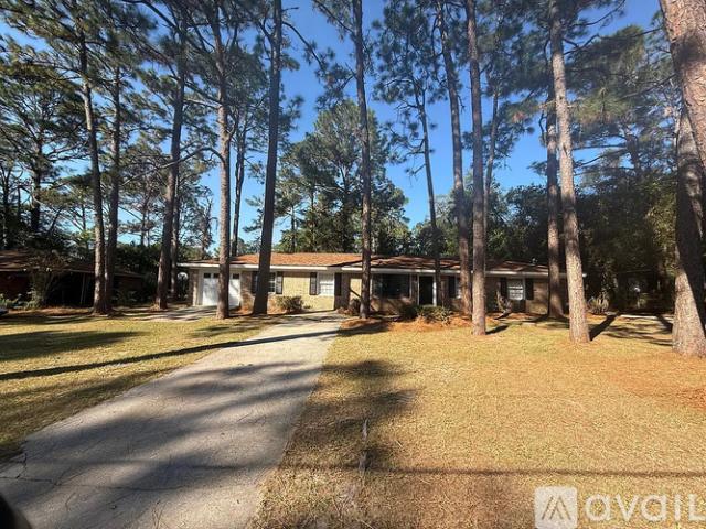 3 BR, 2 BA Apartment 302 Lanier Road, Statesboro, GA 30458