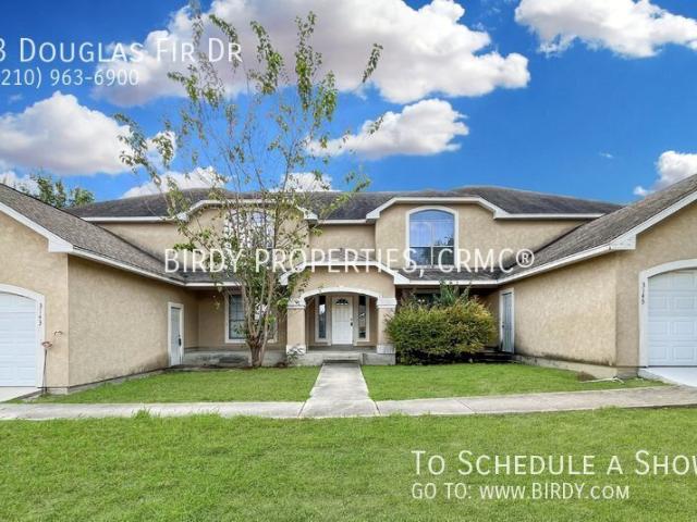 3 BR, 2 BA Apartment 3143 Douglas Fir Dr, New Braunfels, TX 78130