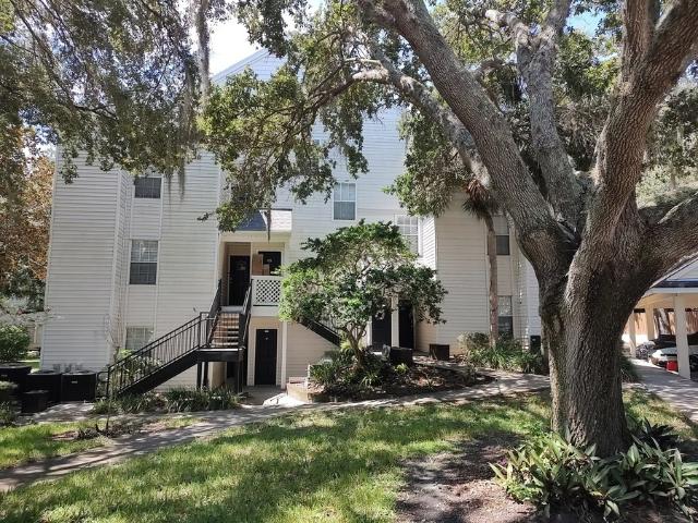 3 BR, 2 BA Apartment 3266 Haviland Ct, Palm Harbor, FL 34684