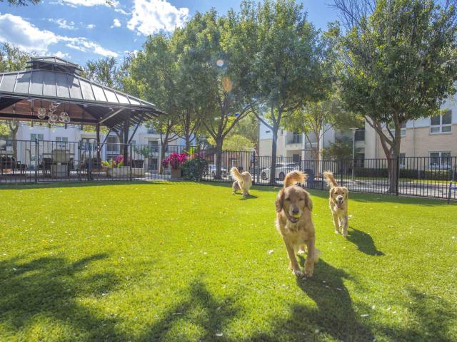 3 BR, 2 BA Apartment 7700 Greenway Blvd Unit N 301, Dallas, TX 75209
