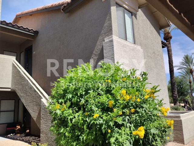 3 BR, 2 BA Apartment 9600 N 96th St, Scottsdale, AZ 85258