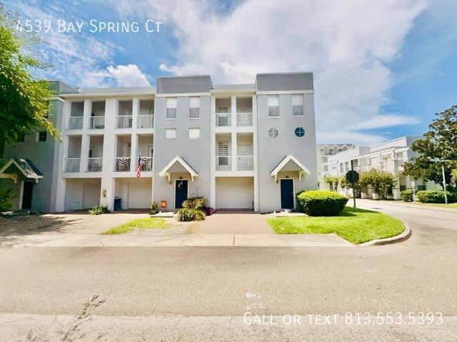 3 BR, 3.5 BA Apartment 4539 Bay Spring Ct, Tampa, FL 33611