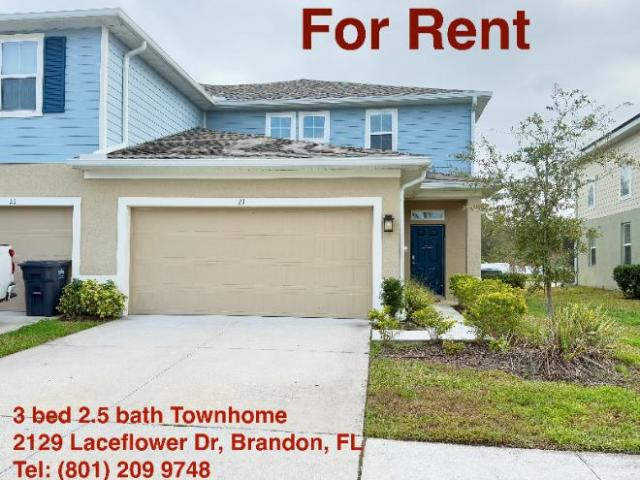 3 Br, 3 bath, Townhouse/Brownstone/RowHouse 2129 Laceflower Dr