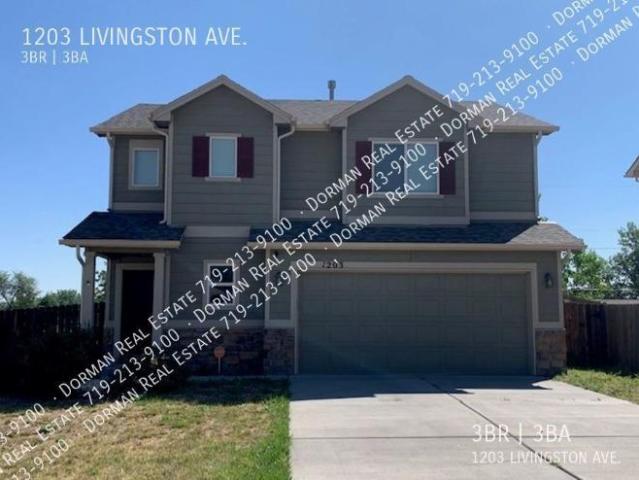 3 Br, 3 bath, Single Family 1203 Livingston Ave