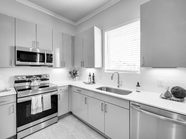 3 BR, 3 BA Apartment 4770 Luxe Lane Unit 919B, Denton, TX 76207