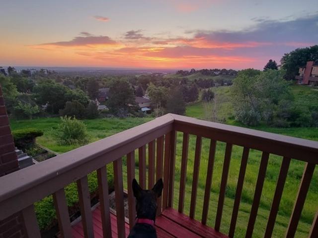 3 BR, 3 BA Apartment 78 S Holman Way, Unit Mountain View Room, Golden, CO 80401