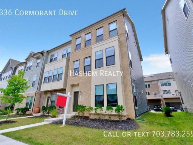 3 Br, 4 bath, Single Family 3336 Cormorant Drive