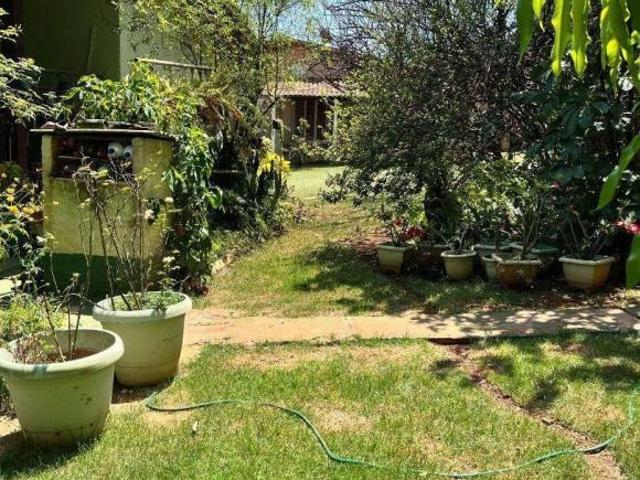 3 Casas no Mesmo Quintal + Edícula com Área Gourmet!