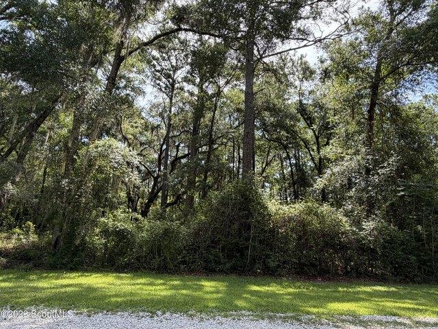 3 Carnochan Ln Unit 73, Darien, GA 31305