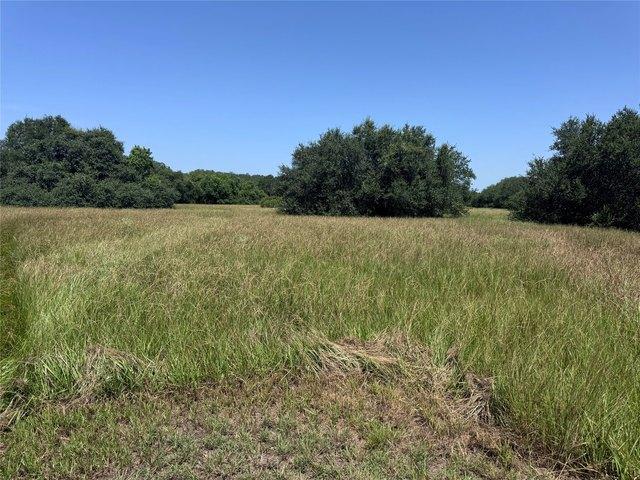3 Center Tree Dr, Palacios, TX 77465