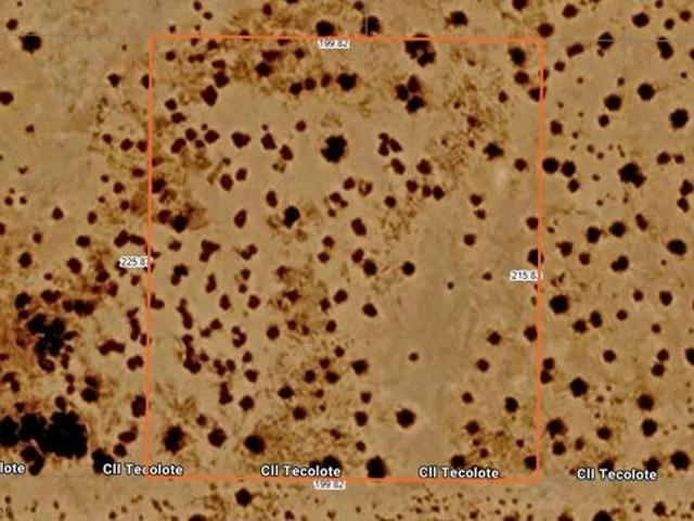 3 Cll Cananea Unit 1816, Dateland, AZ 85333