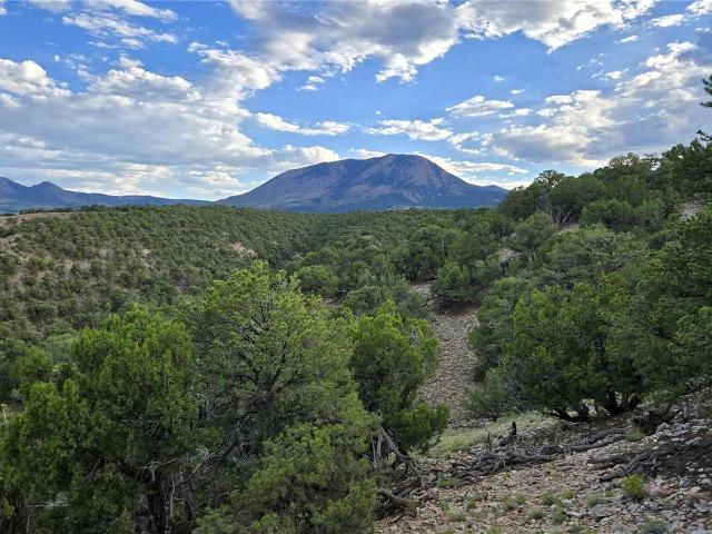 3 Colorado Land & Grazing Unit CC 1