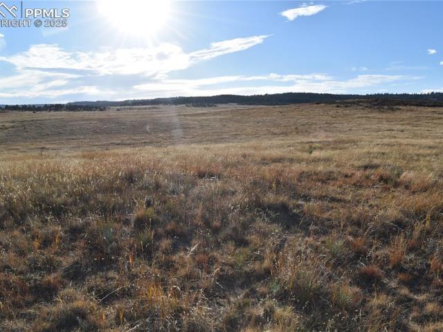 3 County Road 102, Elbert, CO 80106 | MLS #7566 | Compass