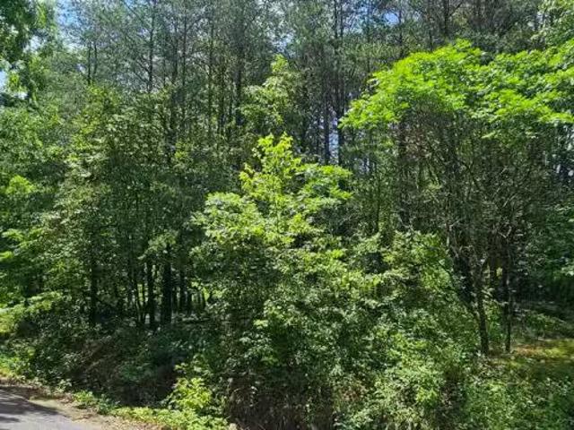 3 COUNTY ROAD 106, MENTONE, AL 35984