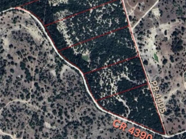 3 County Road 4390, Kempner, TX 76539 | MLS #582683 | Compass