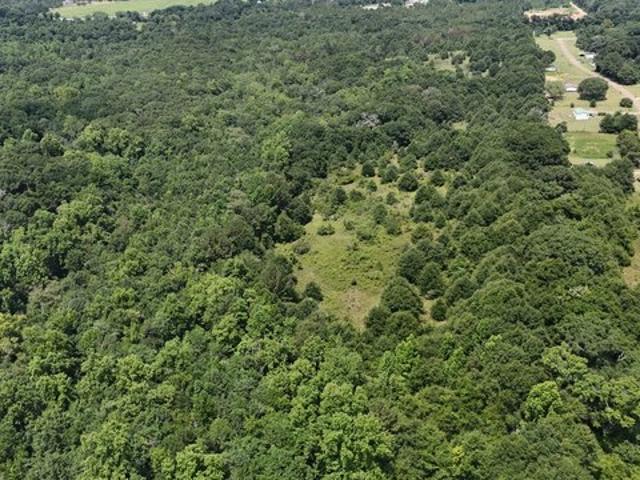 3 County Road 5520, Troy, AL 36081