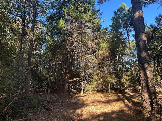 3 Cr219 Buffalo, TX 75831 | Compass
