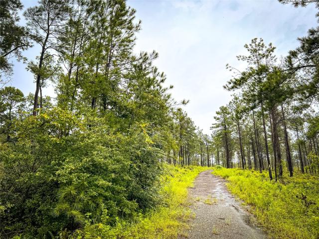 3 Cr 257 / Cr, Jasper, TX 75951 | MLS #75061
