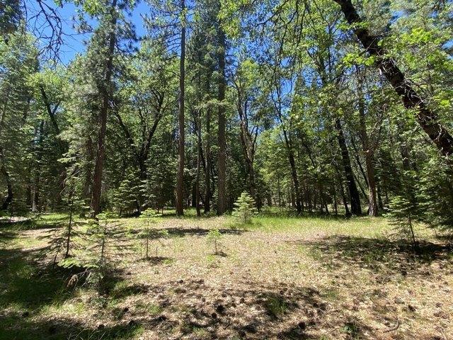3 E 29 Red Fir Rd, McCloud, CA 96057
