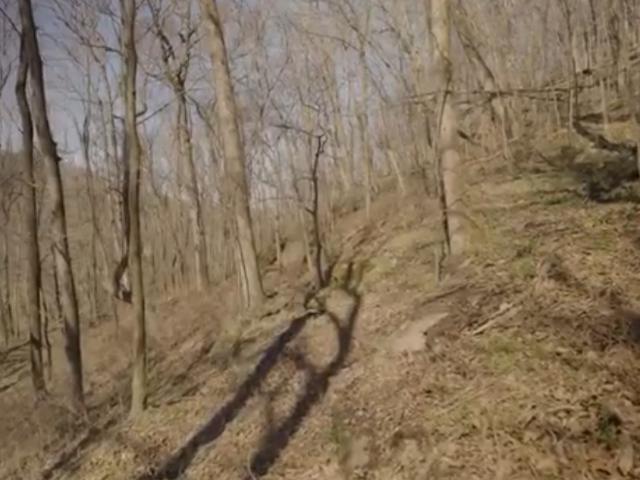 3 Enterprise Rd, Mount Pleasant, TN 38474 | MLS #3118