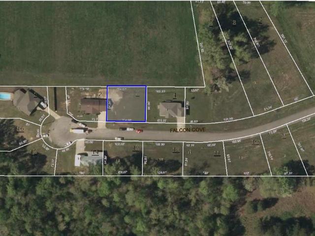 3 Falcon Cove, Middleton, TN 38052 | MLS #10200