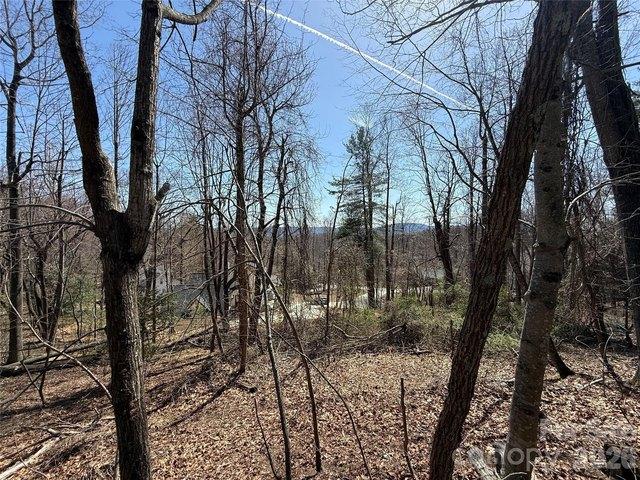 3 Fawn Turn Ln, Hendersonville, NC 28739