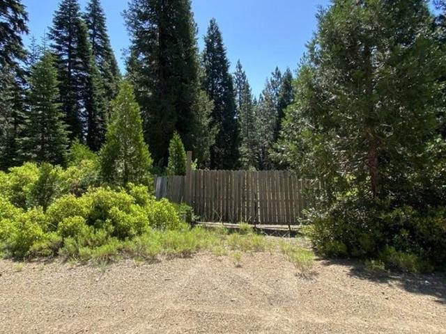 3 G 14 Elk Springs Ct, McCloud, CA 96057