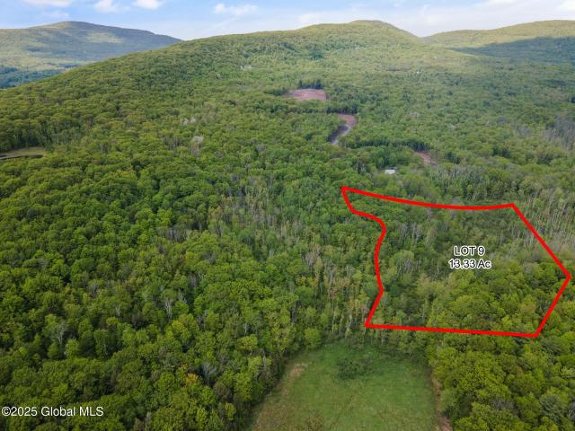 3 Galway Rd, Windham, NY 12496 | MLS #202519