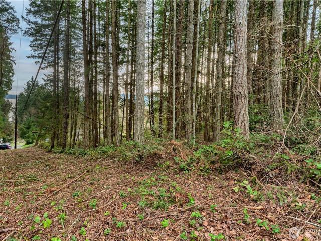 3 Huckleberry Ln, Port Ludlow, WA 98365 | MLS #2374 | Compass